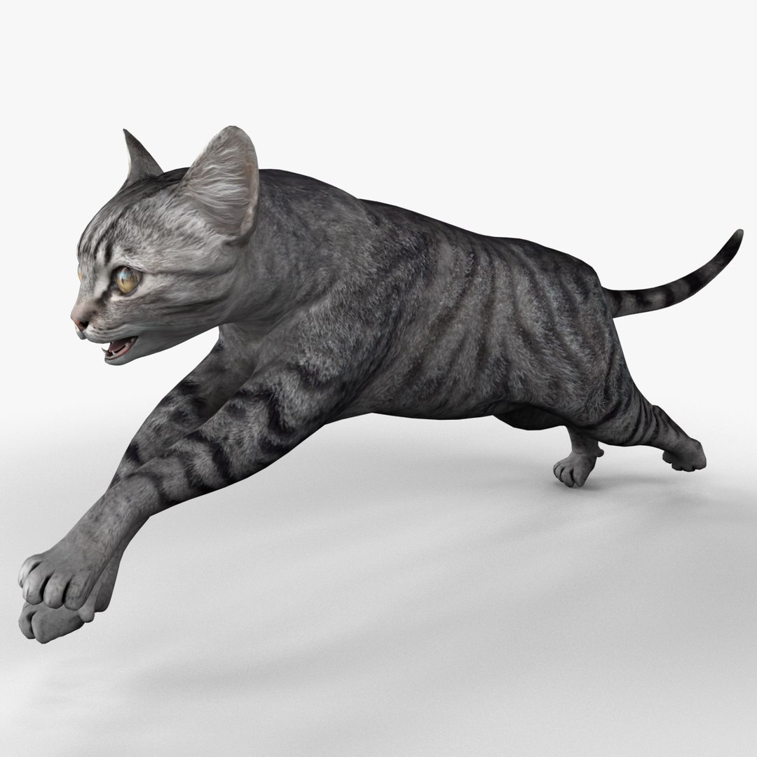 3d c4d cat 3 pose 2