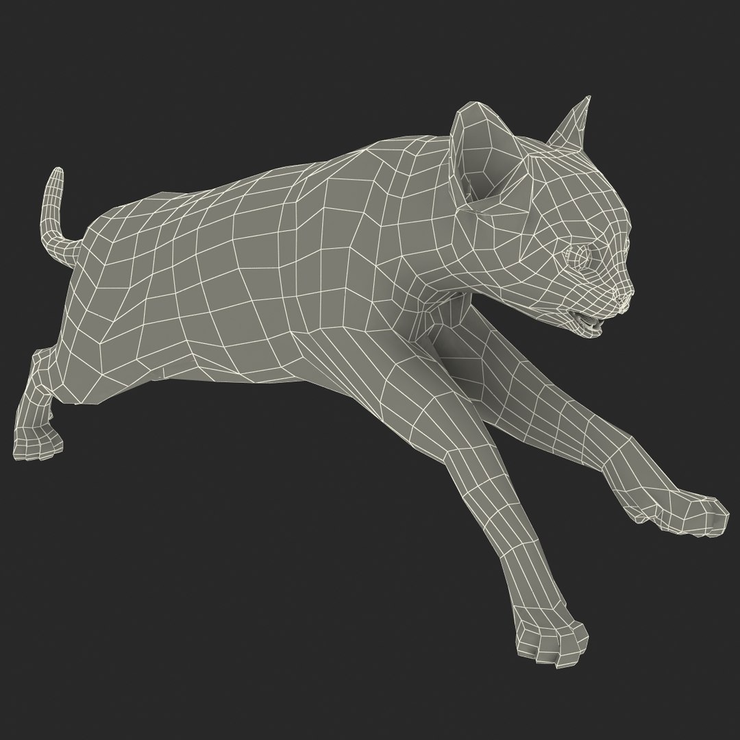 3d c4d cat 3 pose 2