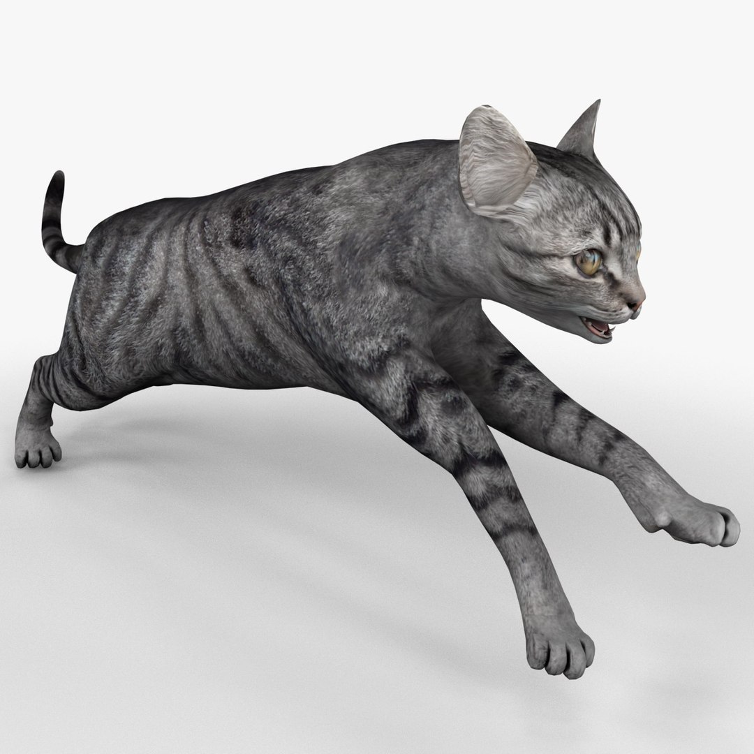 3d c4d cat 3 pose 2