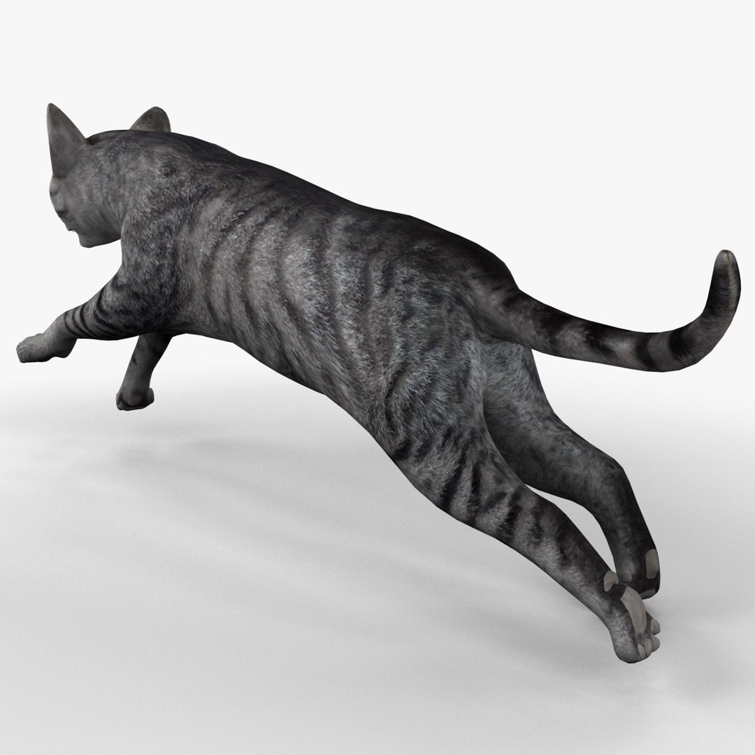 3d c4d cat 3 pose 2