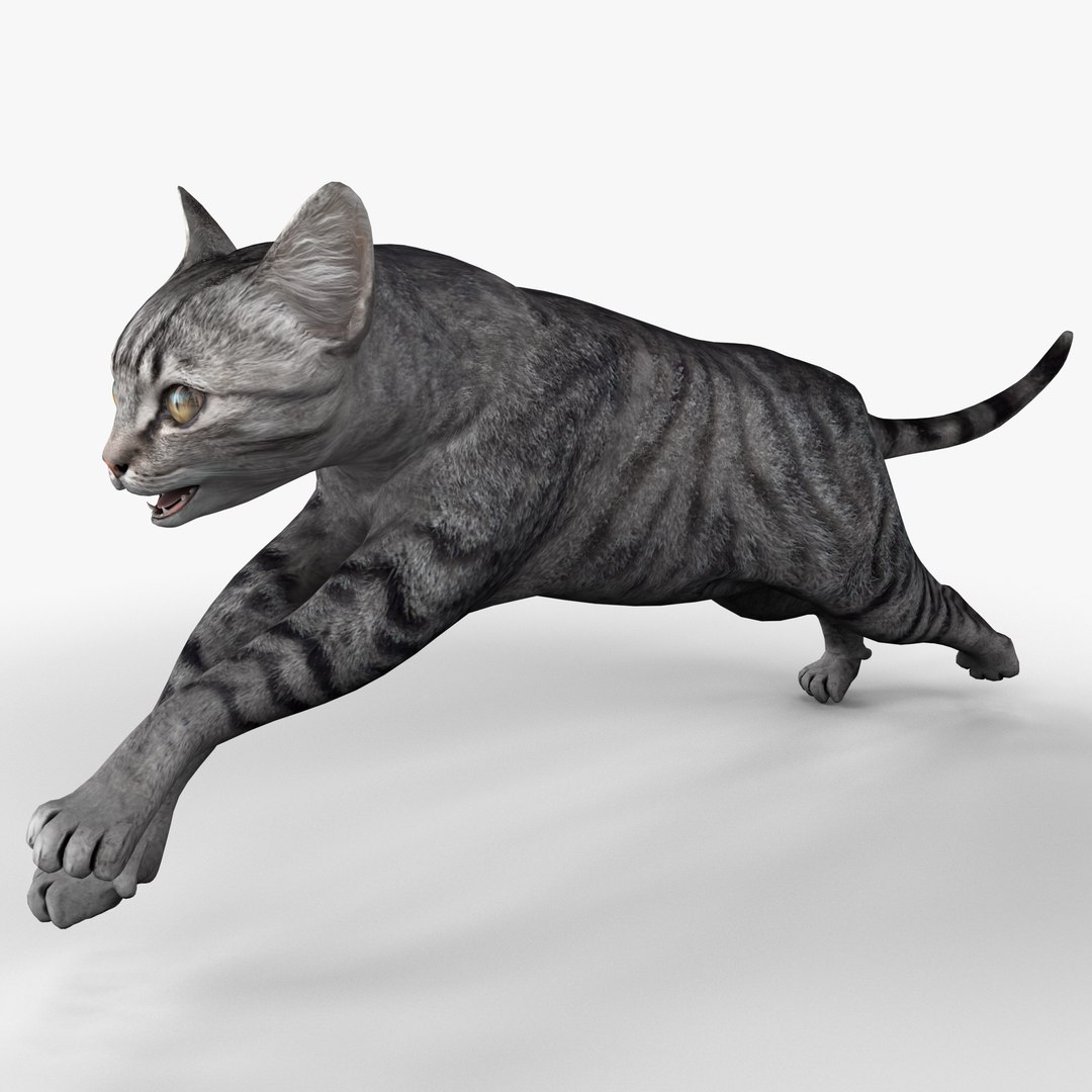 3d c4d cat 3 pose 2