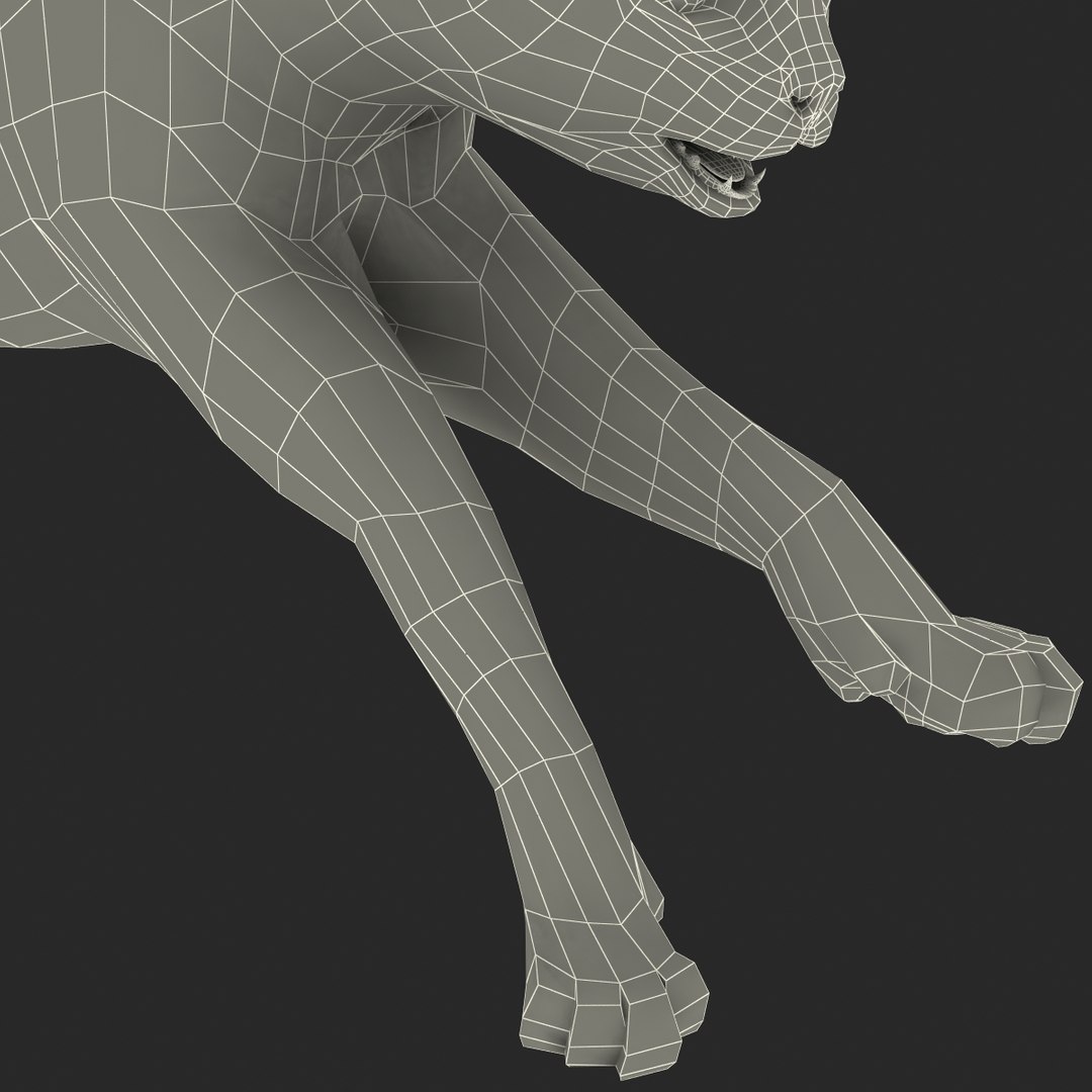 3d c4d cat 3 pose 2