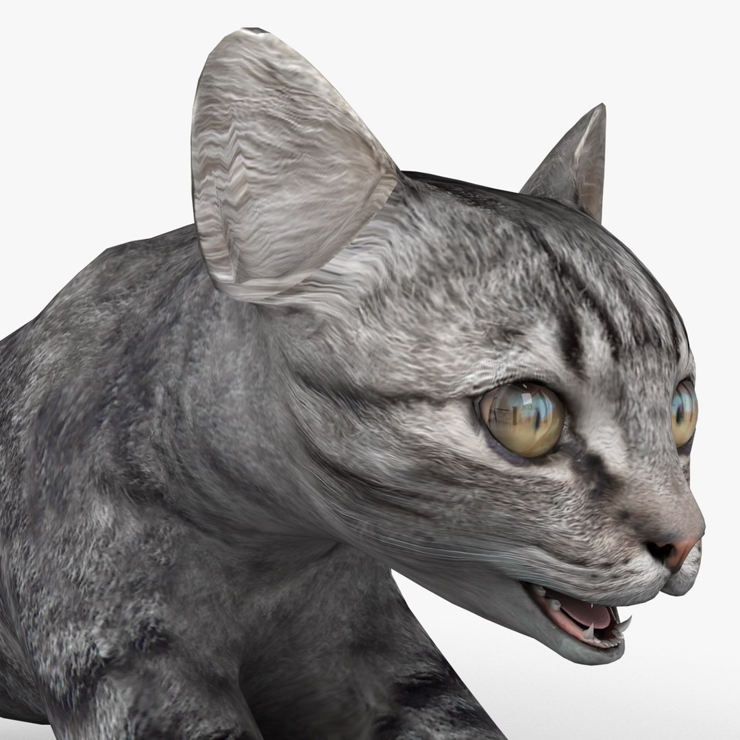 3d c4d cat 3 pose 2