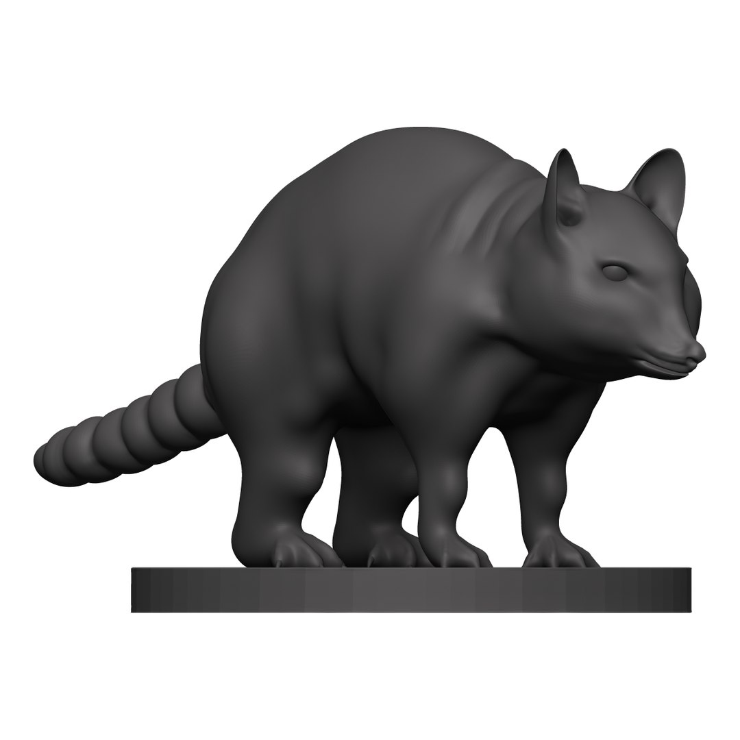 Realistic Raccoon 3D - TurboSquid 1874368