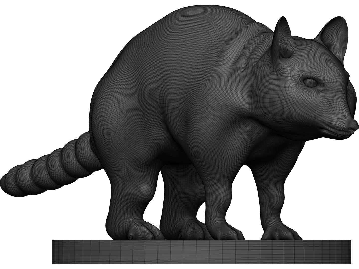 Realistic Raccoon 3D - TurboSquid 1874368