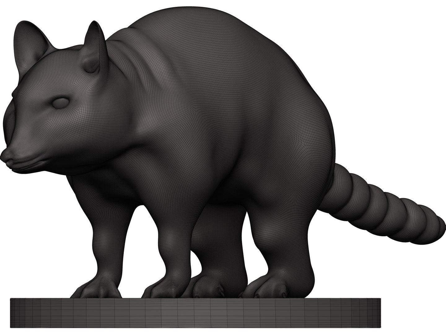 Realistic Raccoon 3D - TurboSquid 1874368