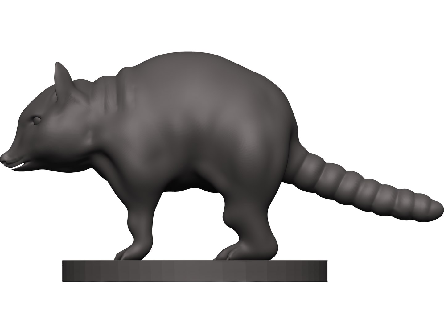 Realistic Raccoon 3D - TurboSquid 1874368