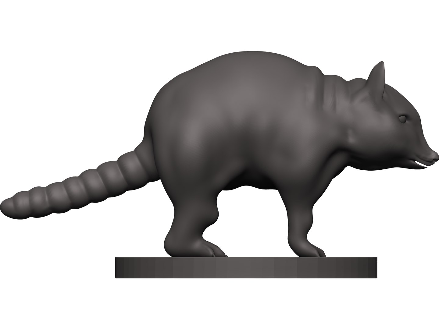 Realistic Raccoon 3D - TurboSquid 1874368