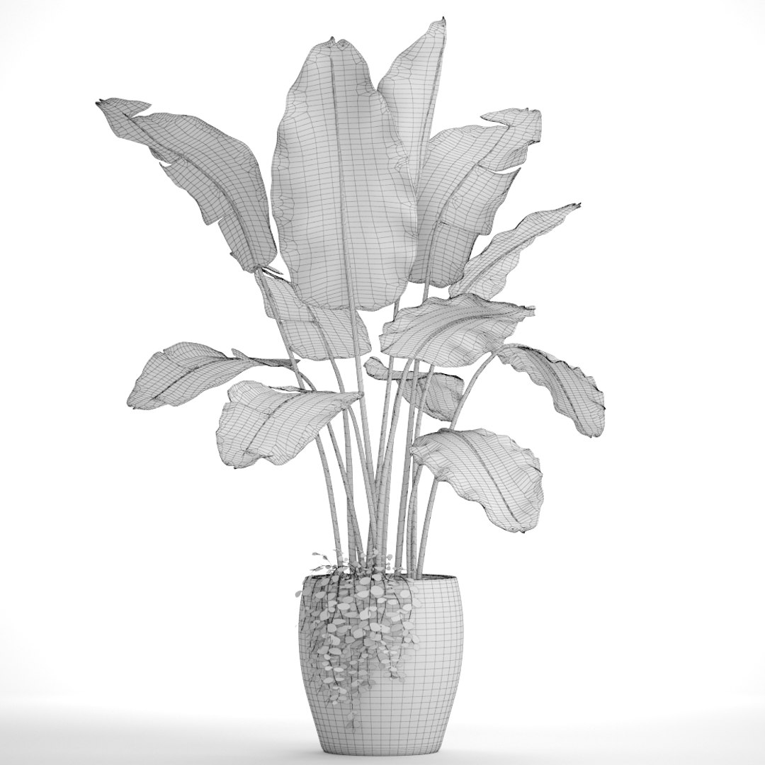 3D Banana Tree Model - TurboSquid 1159689