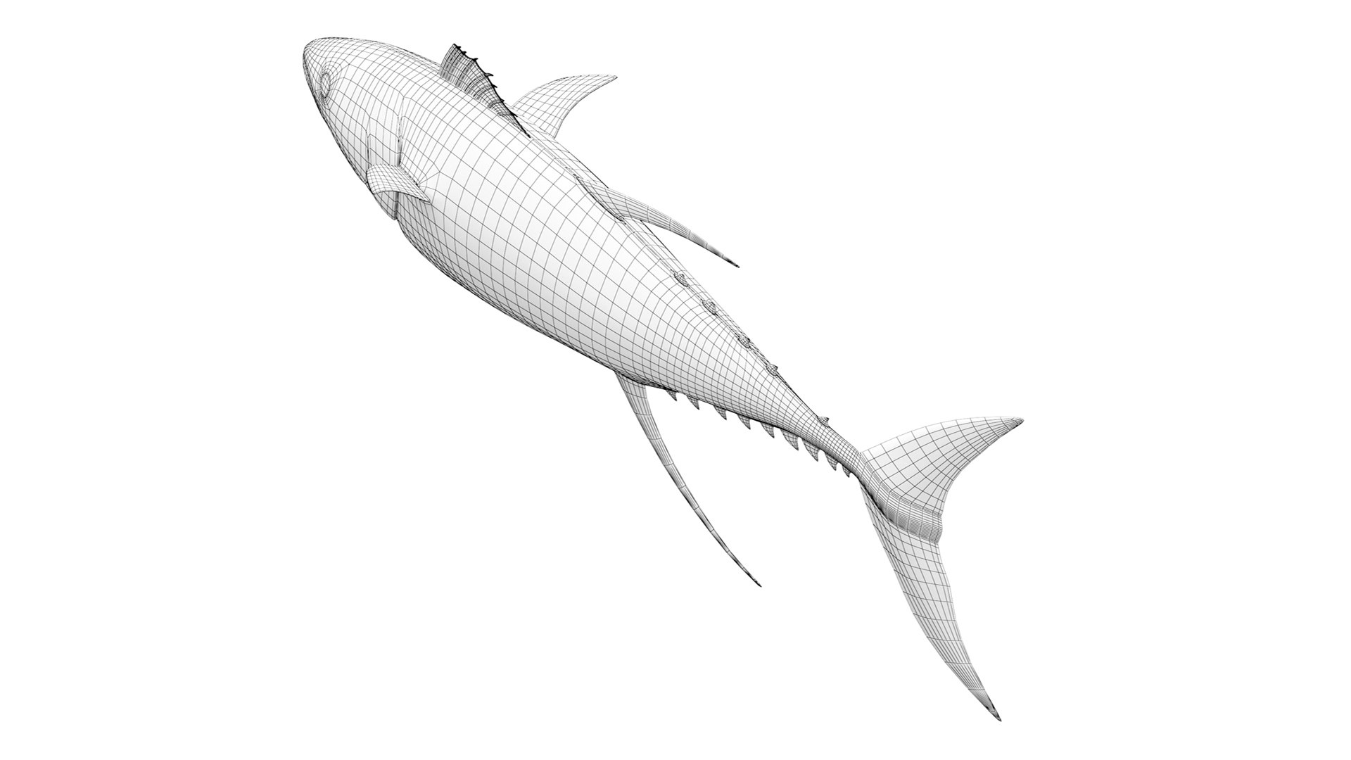 3D Tuna Fish - TurboSquid 1869462