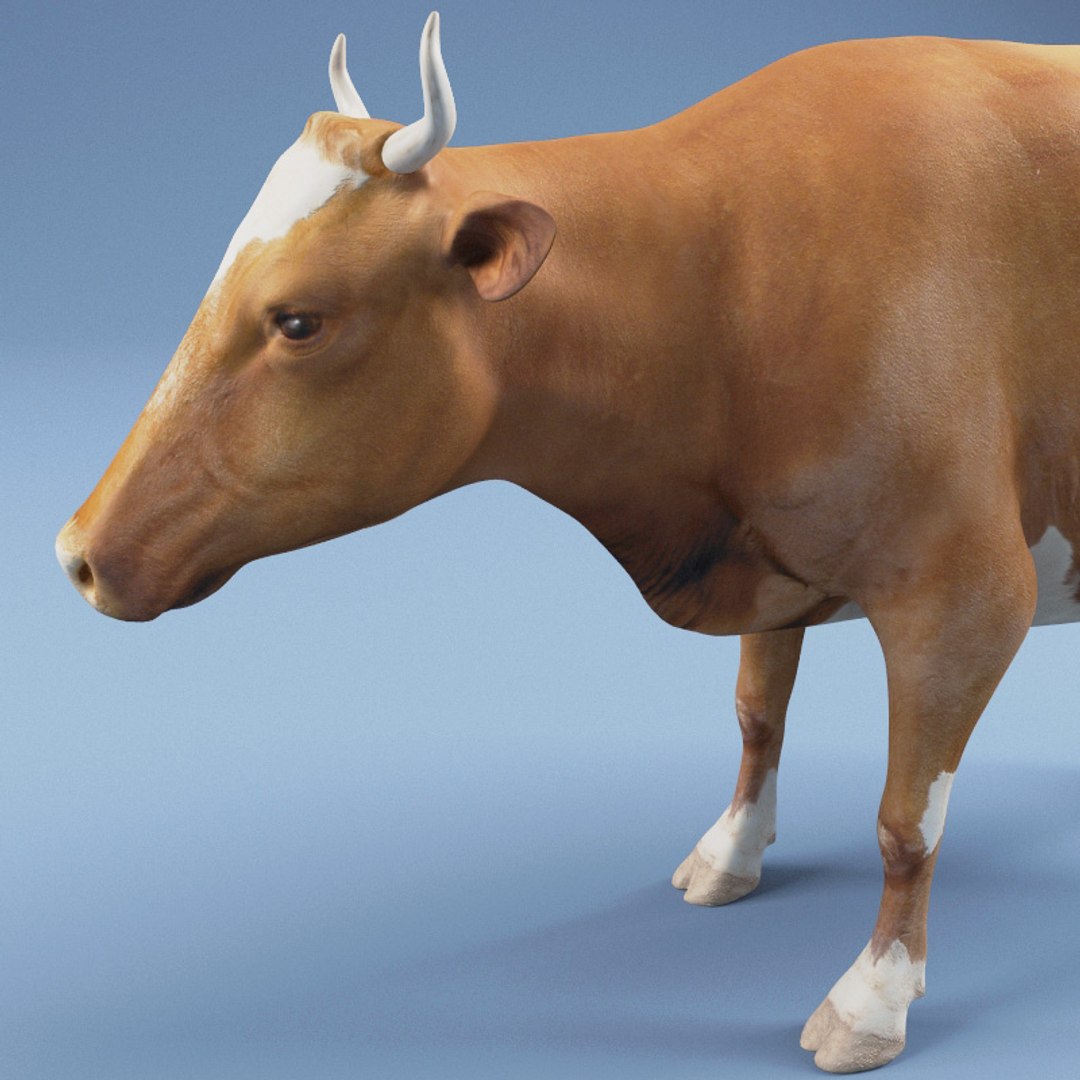 cow modelled 3d model