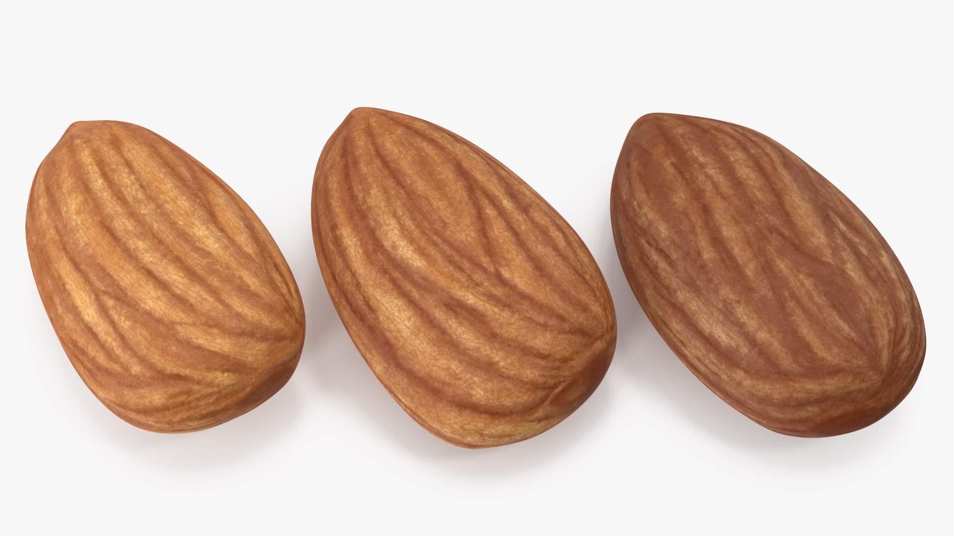 3D model almonds settings - TurboSquid 1635438