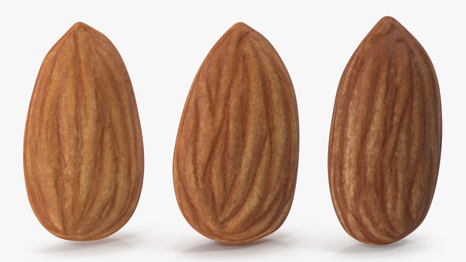 3D model almonds settings - TurboSquid 1635438