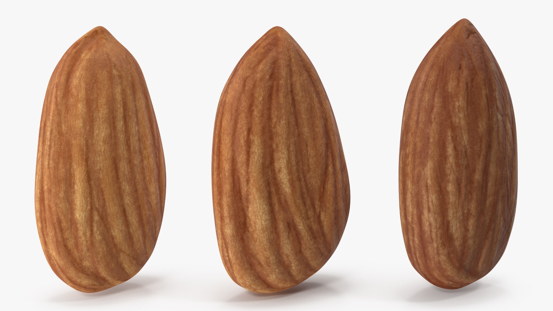 3D model almonds settings - TurboSquid 1635438