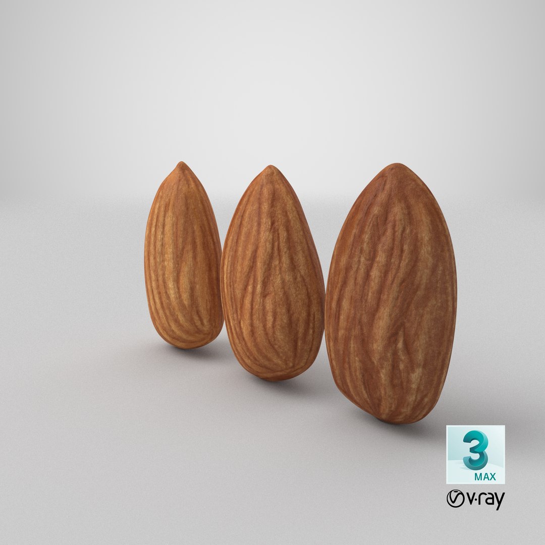 3D model almonds settings - TurboSquid 1635438