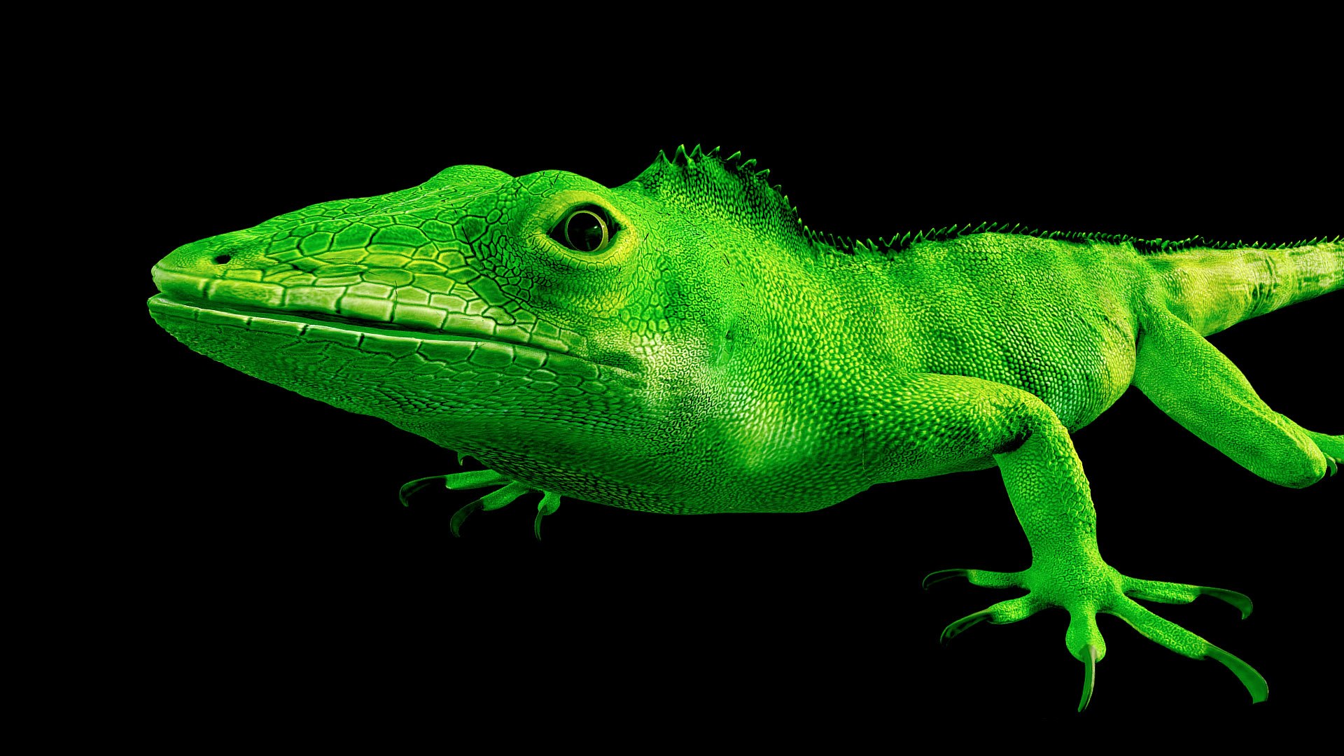 Lizard 3D Animated 3D Model - TurboSquid 1845193