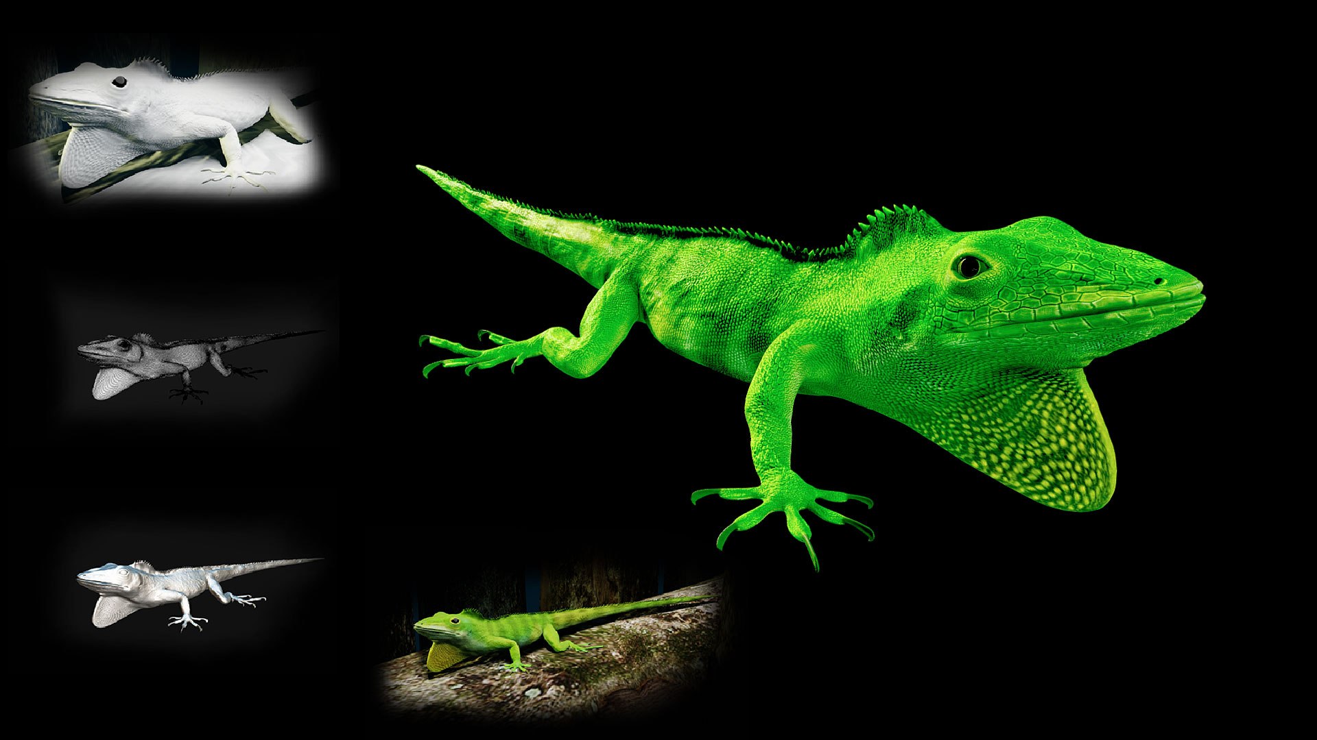 Lizard 3D Animated 3D Model - TurboSquid 1845193