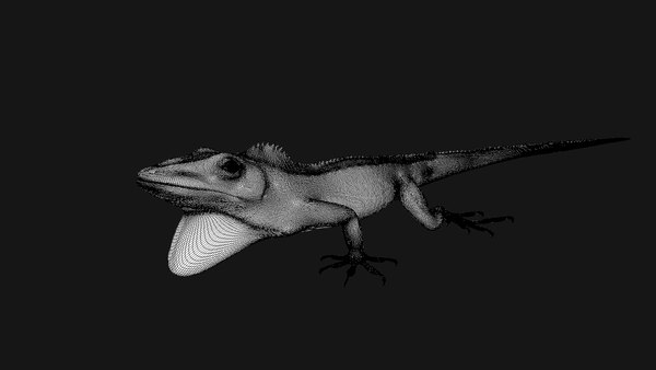 Lizard 3D Animated 3D model - TurboSquid 1845193