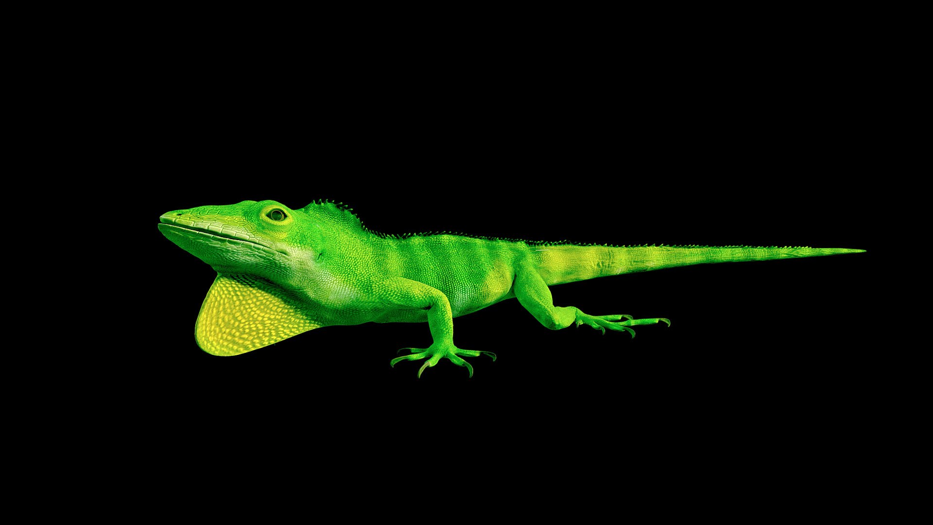 Lizard 3D Animated 3D Model - TurboSquid 1845193