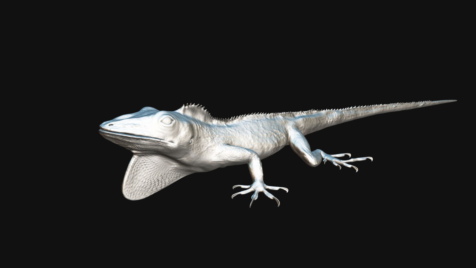 Lizard 3D Animated 3D Model - TurboSquid 1845193