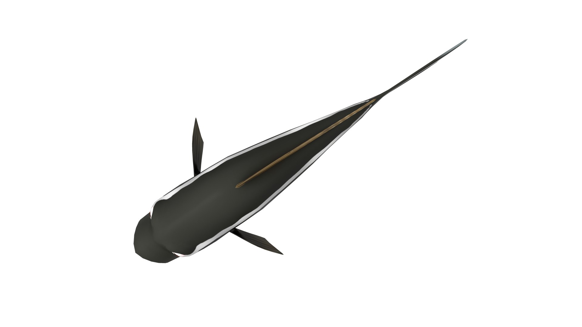 Cobia fish toon animation 3D - TurboSquid 1585551