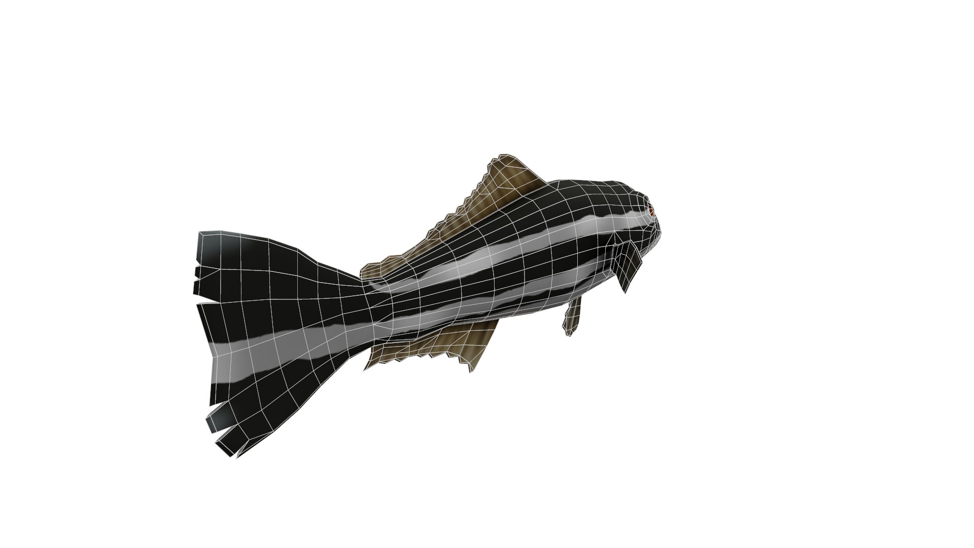 Cobia fish toon animation 3D - TurboSquid 1585551