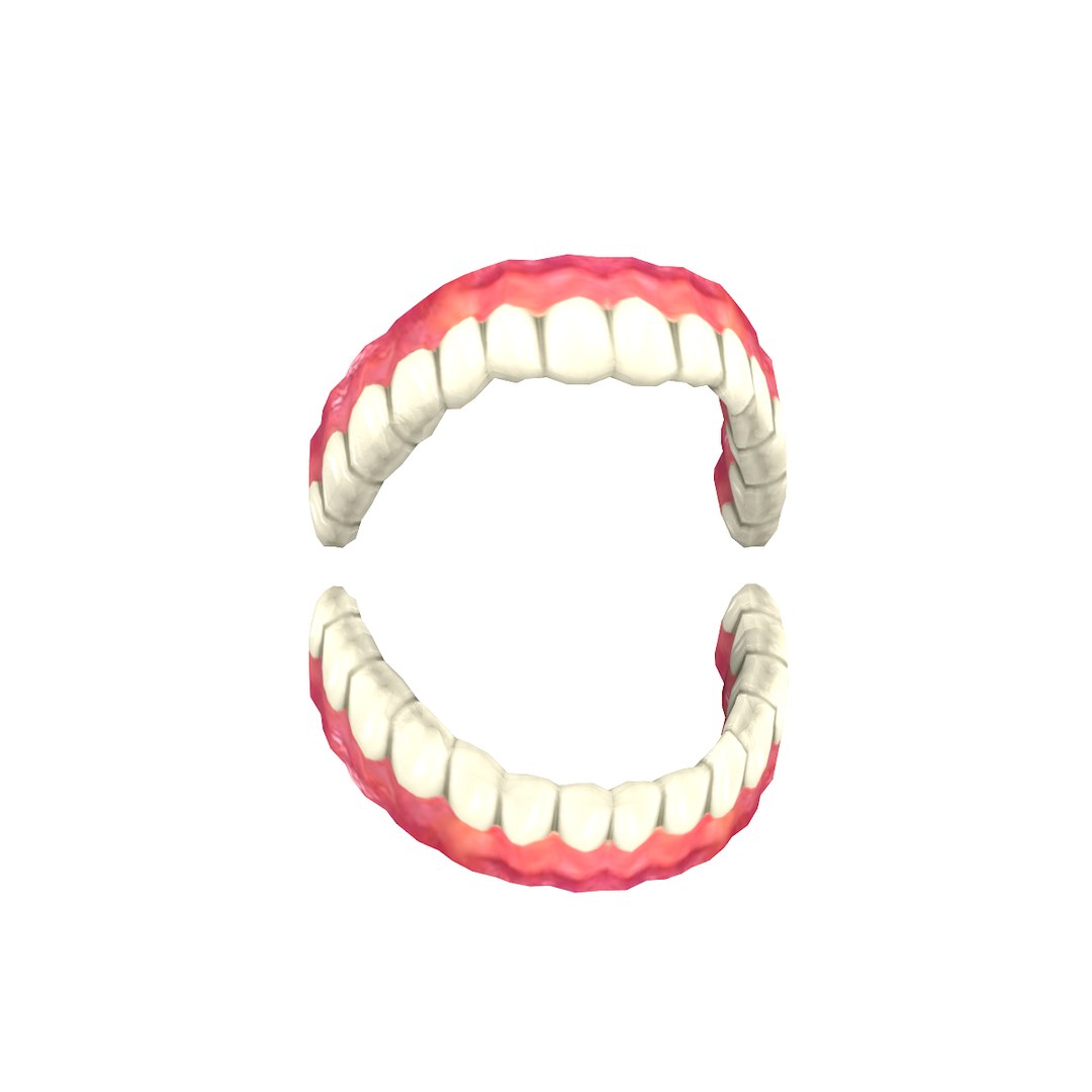 Human Teeth 3D Model - TurboSquid 1768416