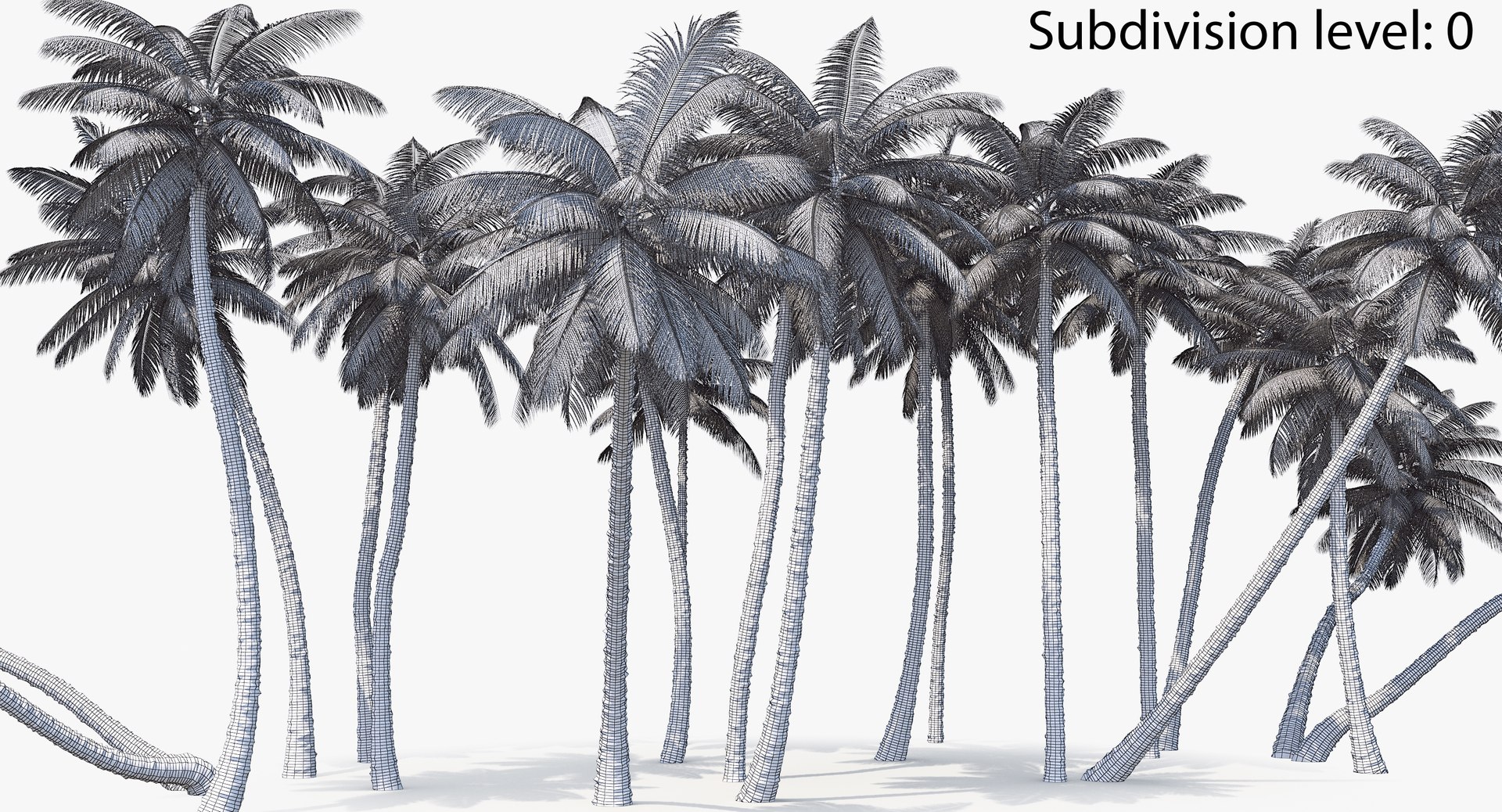 3D Palm Set Tree - TurboSquid 1394097