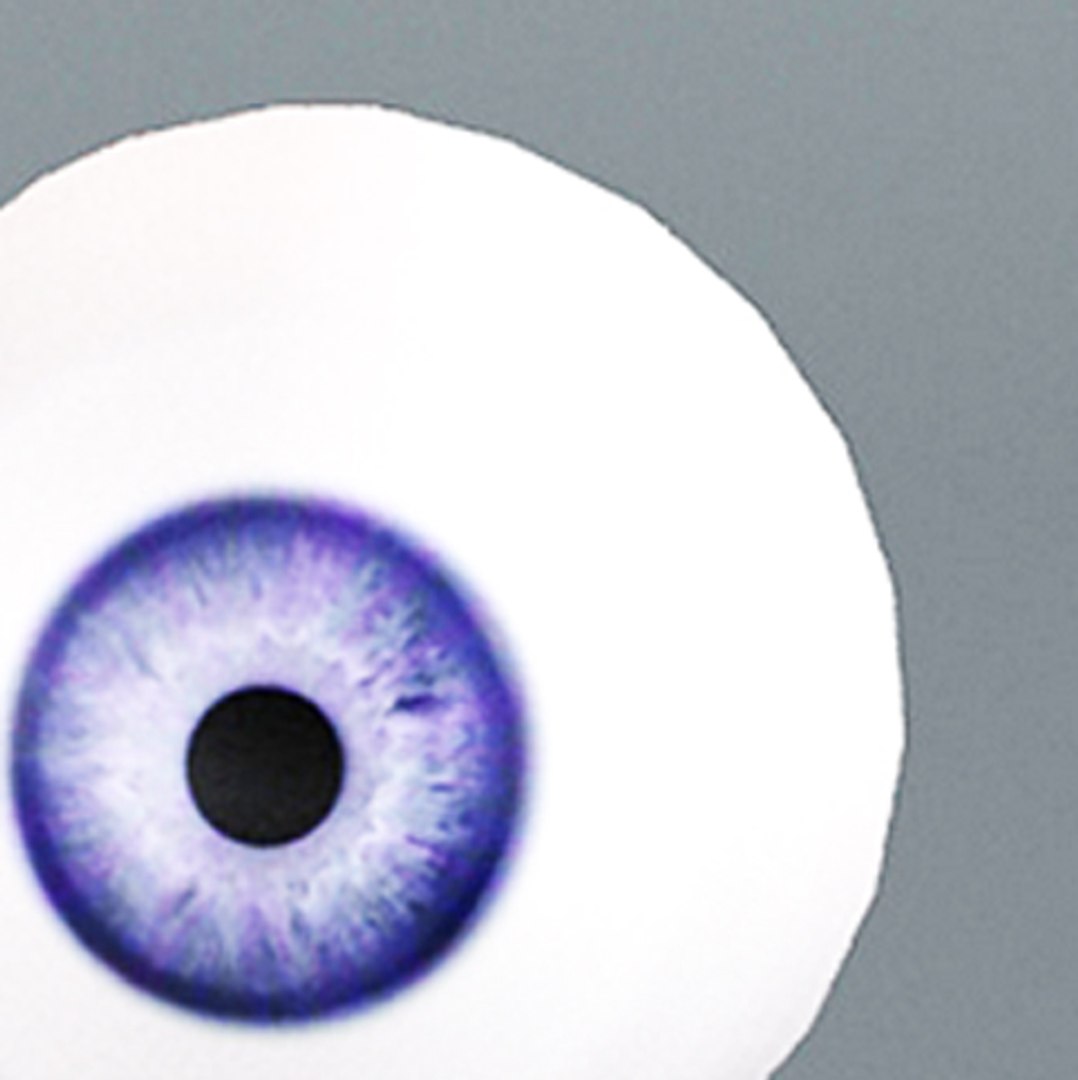 3d Model Eyes