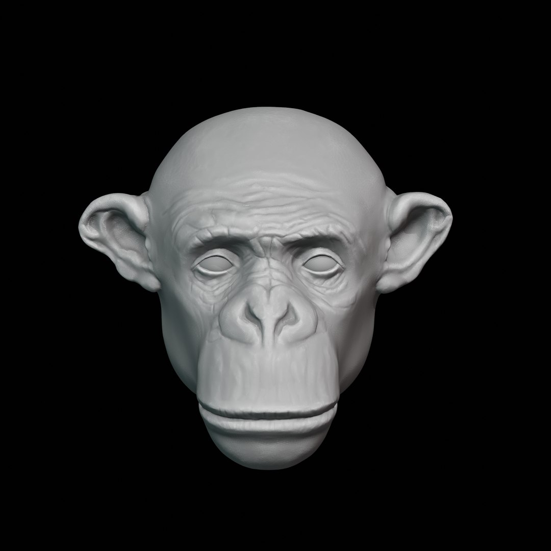 Monkey Decor 3D - TurboSquid 1821646