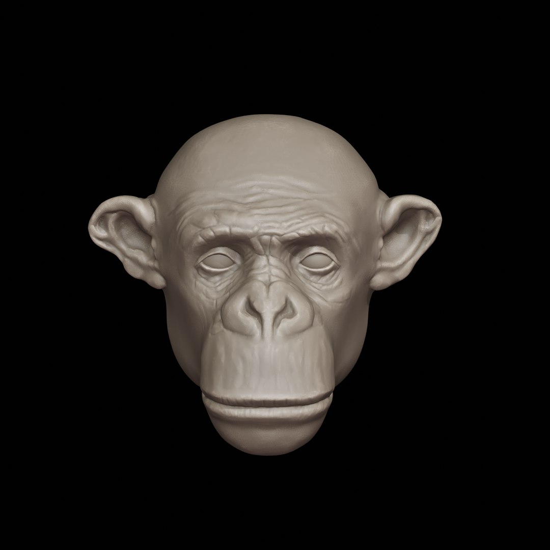 Monkey Decor 3D - TurboSquid 1821646