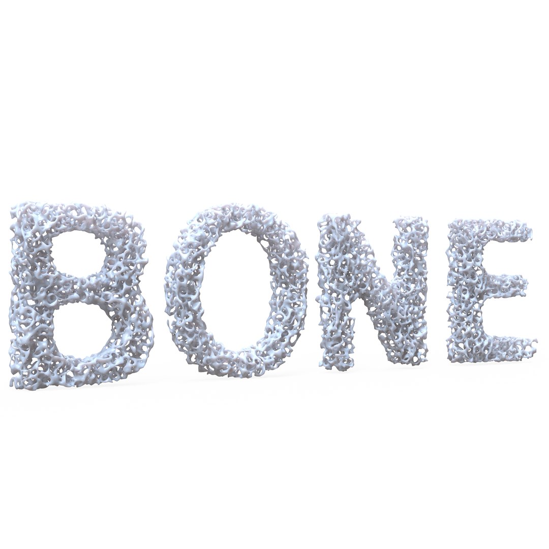 3D Bone Sponge Alphabet Text Model - TurboSquid 1931621