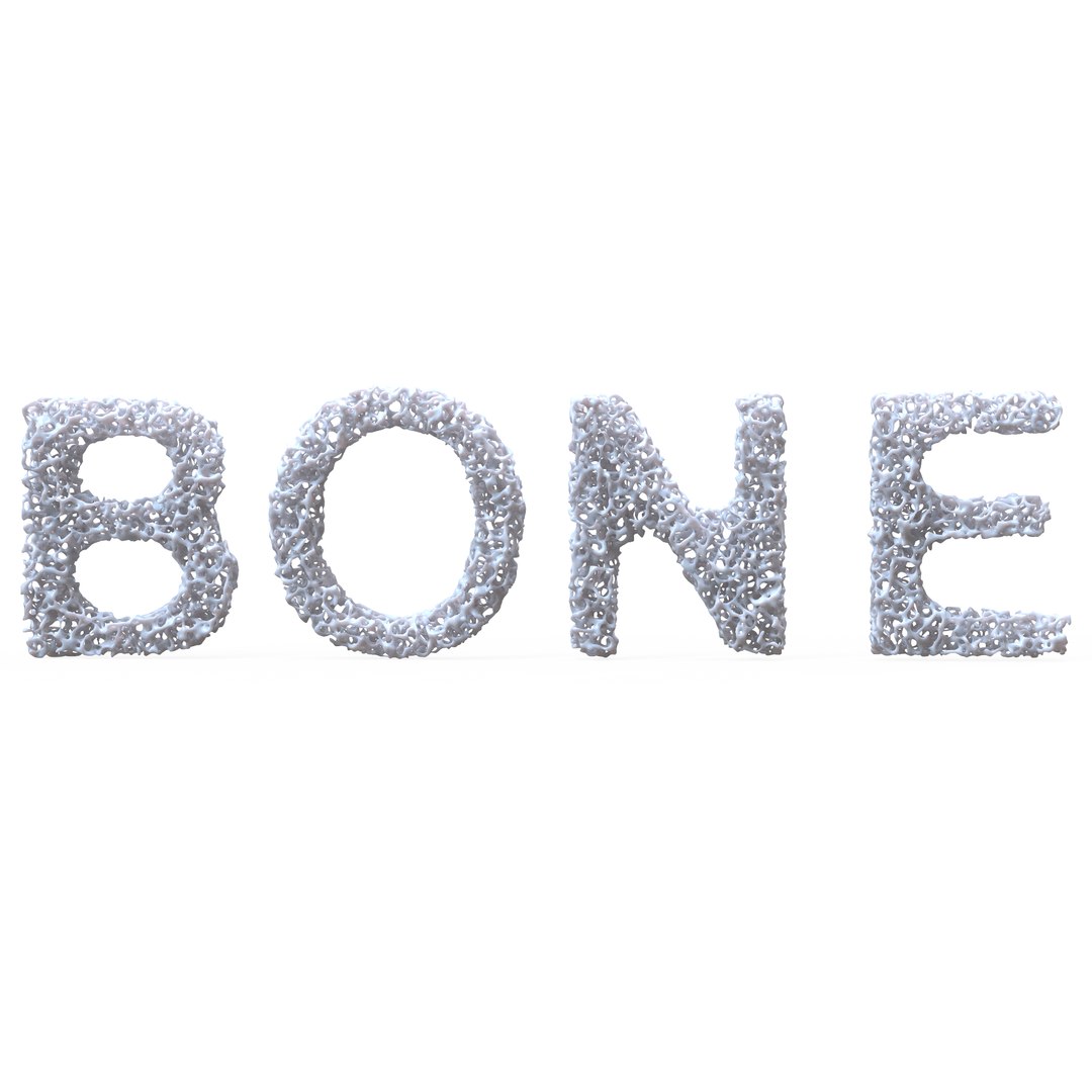 3D Bone Sponge Alphabet Text Model - TurboSquid 1931621