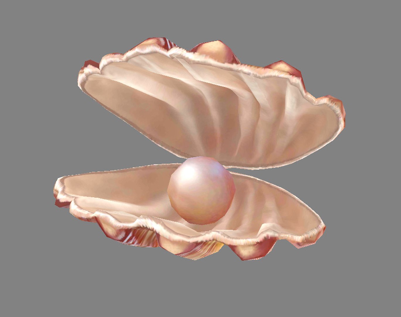 Pearls And Shells - Mussels 3D Model - TurboSquid 1732783