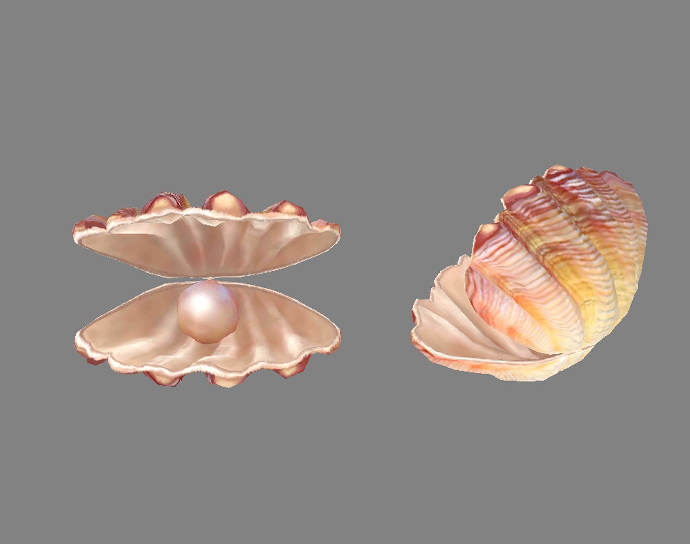 Pearls And Shells - Mussels 3D Model - TurboSquid 1732783