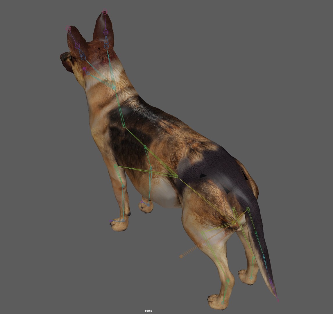 3D Model German Shepherd - Dog Rig - TurboSquid 1884771