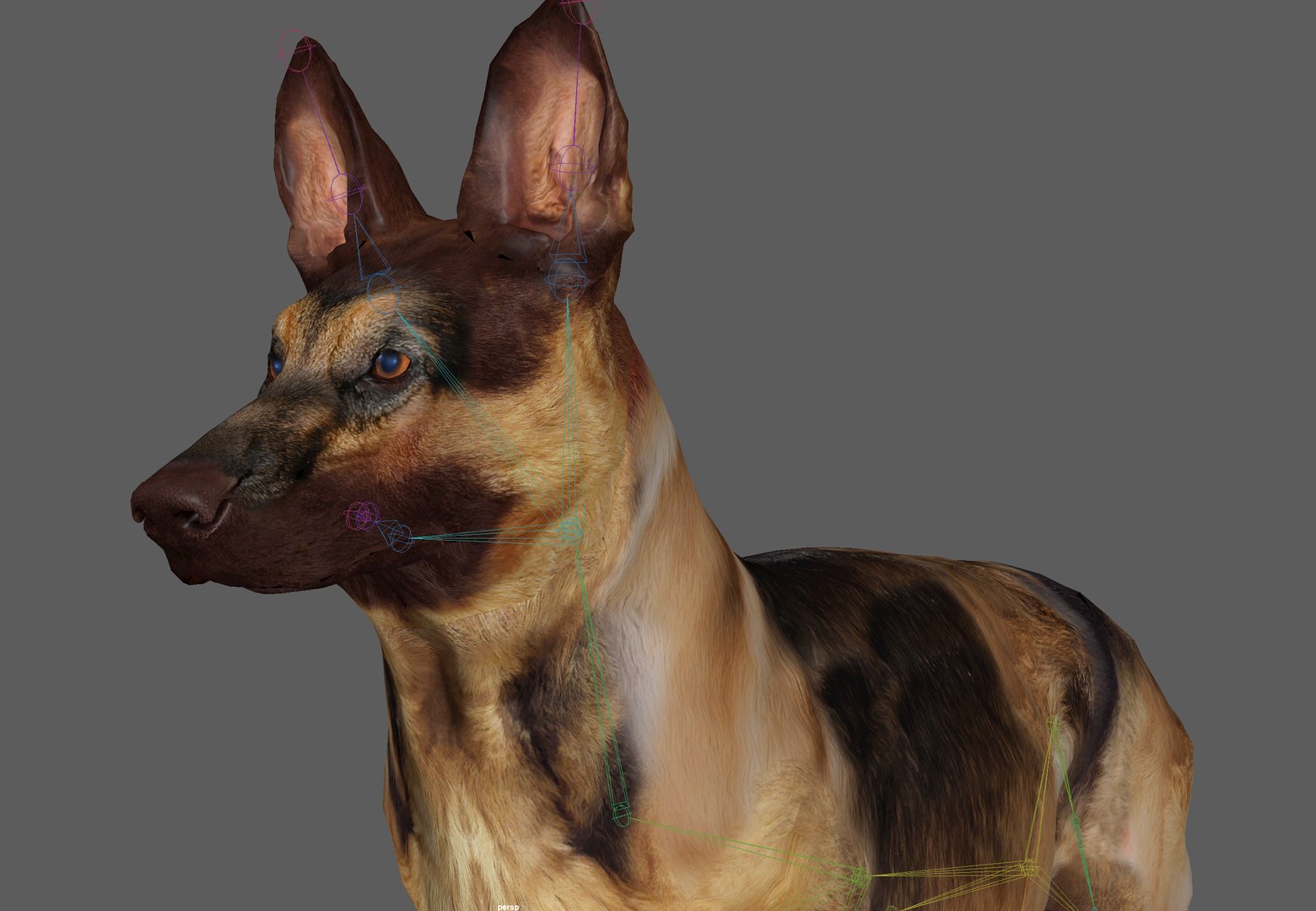 3D Model German Shepherd - Dog Rig - TurboSquid 1884771
