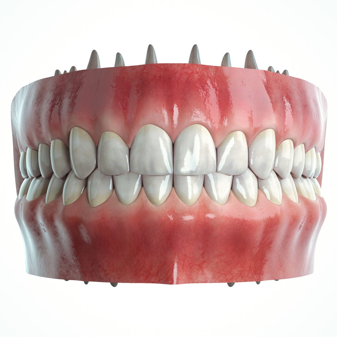 Realistic Mouth 3D Model - TurboSquid 1342408