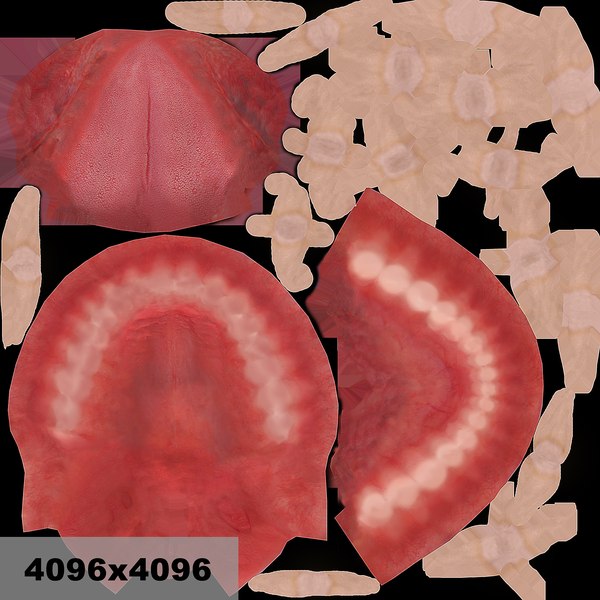 modelo 3d Modelo realista de boca humana - TurboSquid 1342408