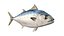 50 Fish Sea Creatures Collection V1 3D Model - TurboSquid 2557856