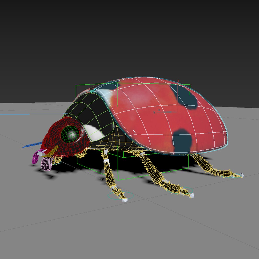 3D Model Ladybug Lady Bug - TurboSquid 1199311