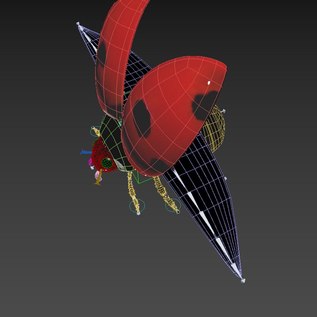 3D Model Ladybug Lady Bug - TurboSquid 1199311