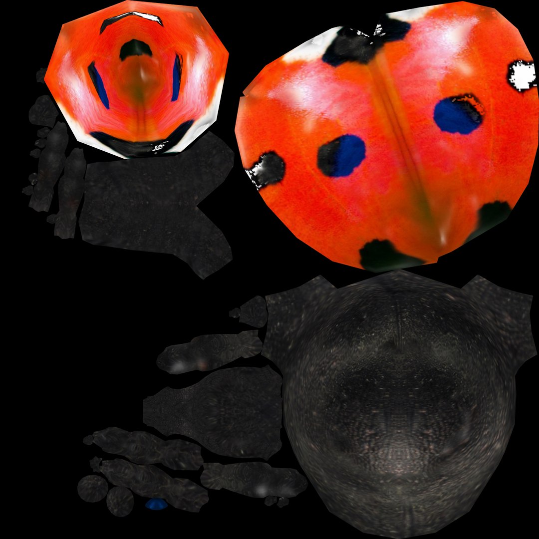3D Model Ladybug Lady Bug - TurboSquid 1199311