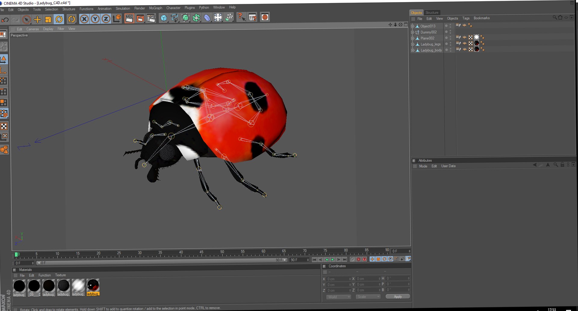 3D Model Ladybug Lady Bug - TurboSquid 1199311