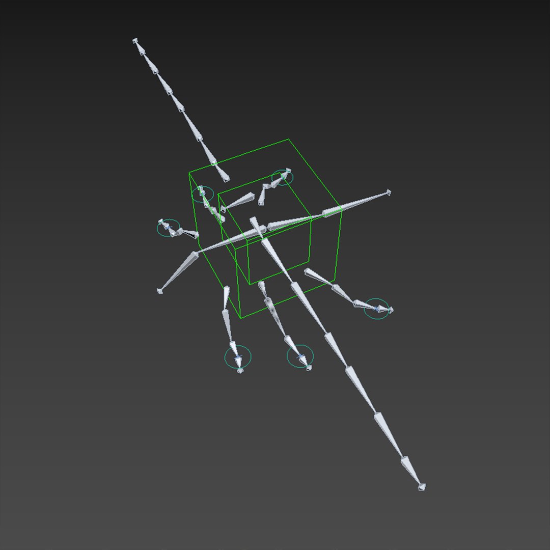 3D Model Ladybug Lady Bug - TurboSquid 1199311