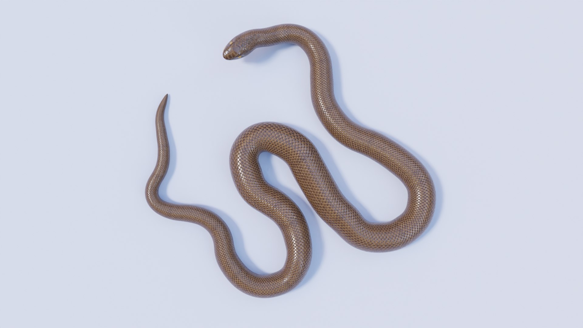 3D Rigged Rubber Boa model - TurboSquid 1952294