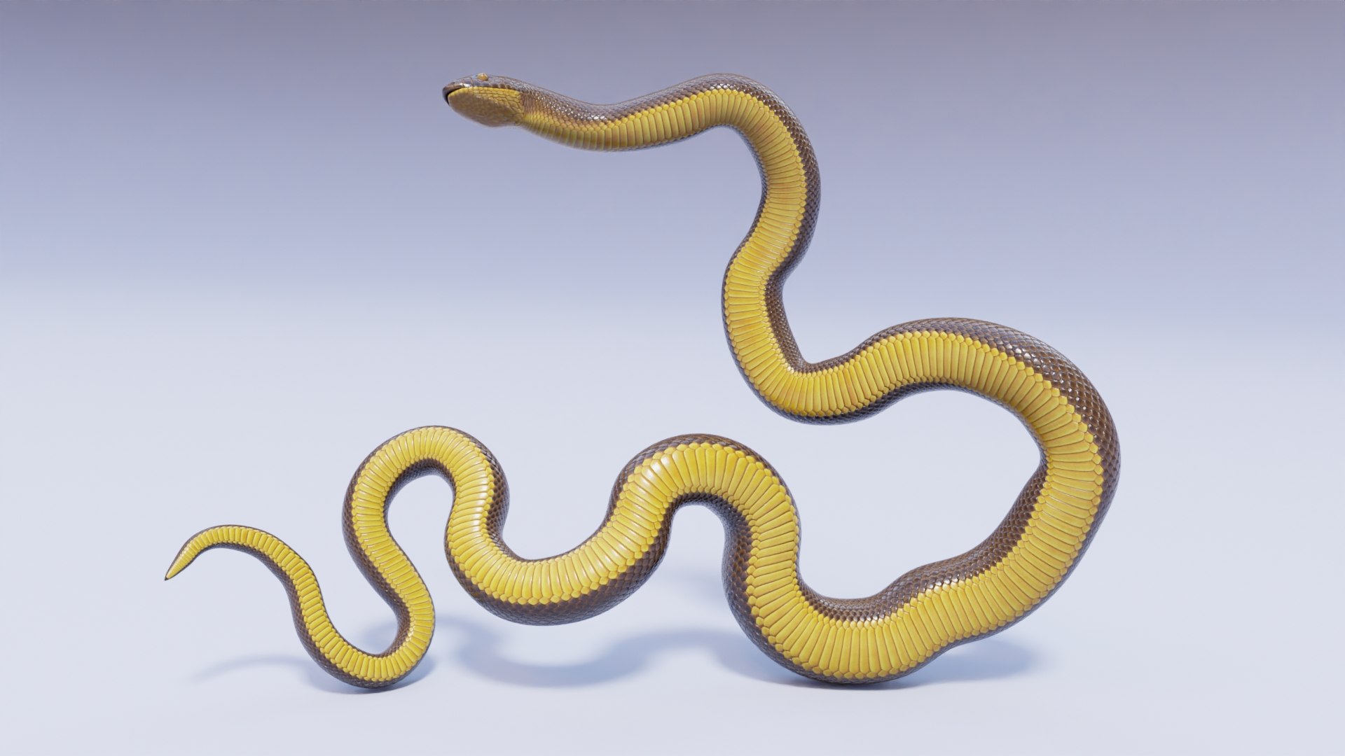 3D Rigged Rubber Boa Model - TurboSquid 1952294