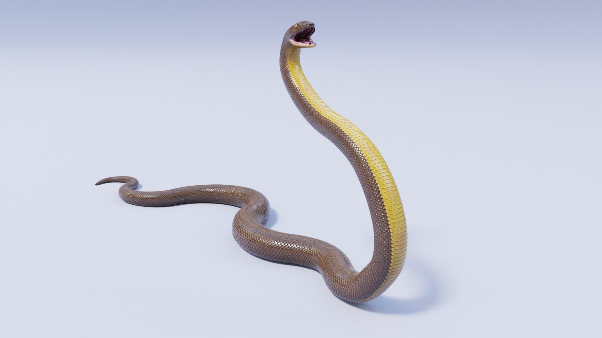 3D Rigged Rubber Boa Model - TurboSquid 1952294