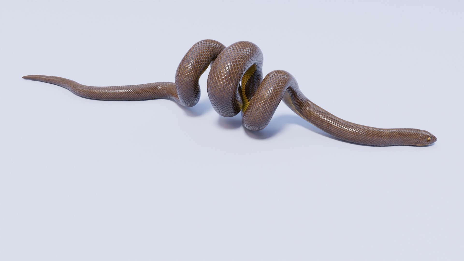 3D Rigged Rubber Boa Model - TurboSquid 1952294