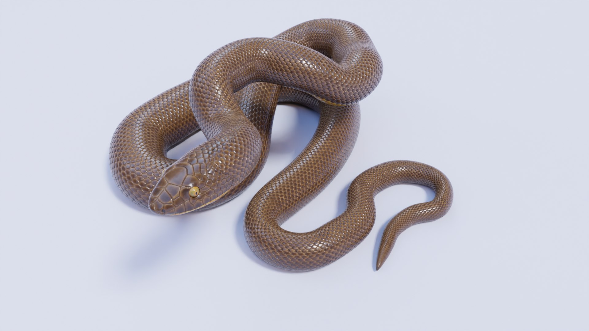 3D Rigged Rubber Boa Model - TurboSquid 1952294